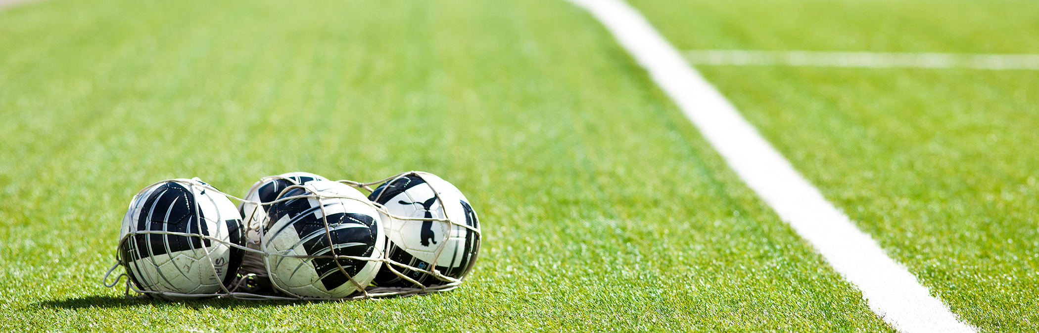 Home - Sandy Tigers FC