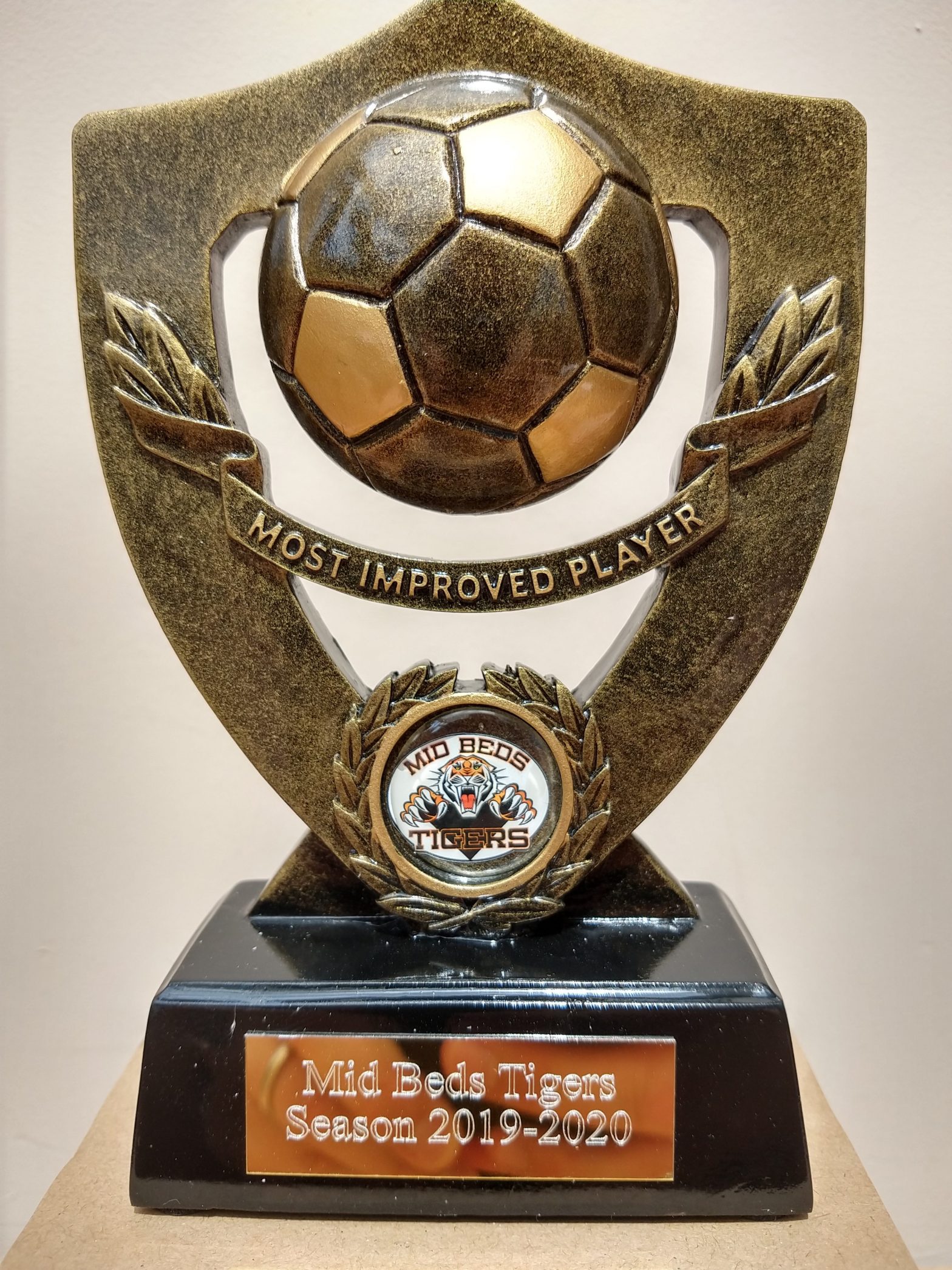 Season 2019-20 presentations - Sandy Tigers FC