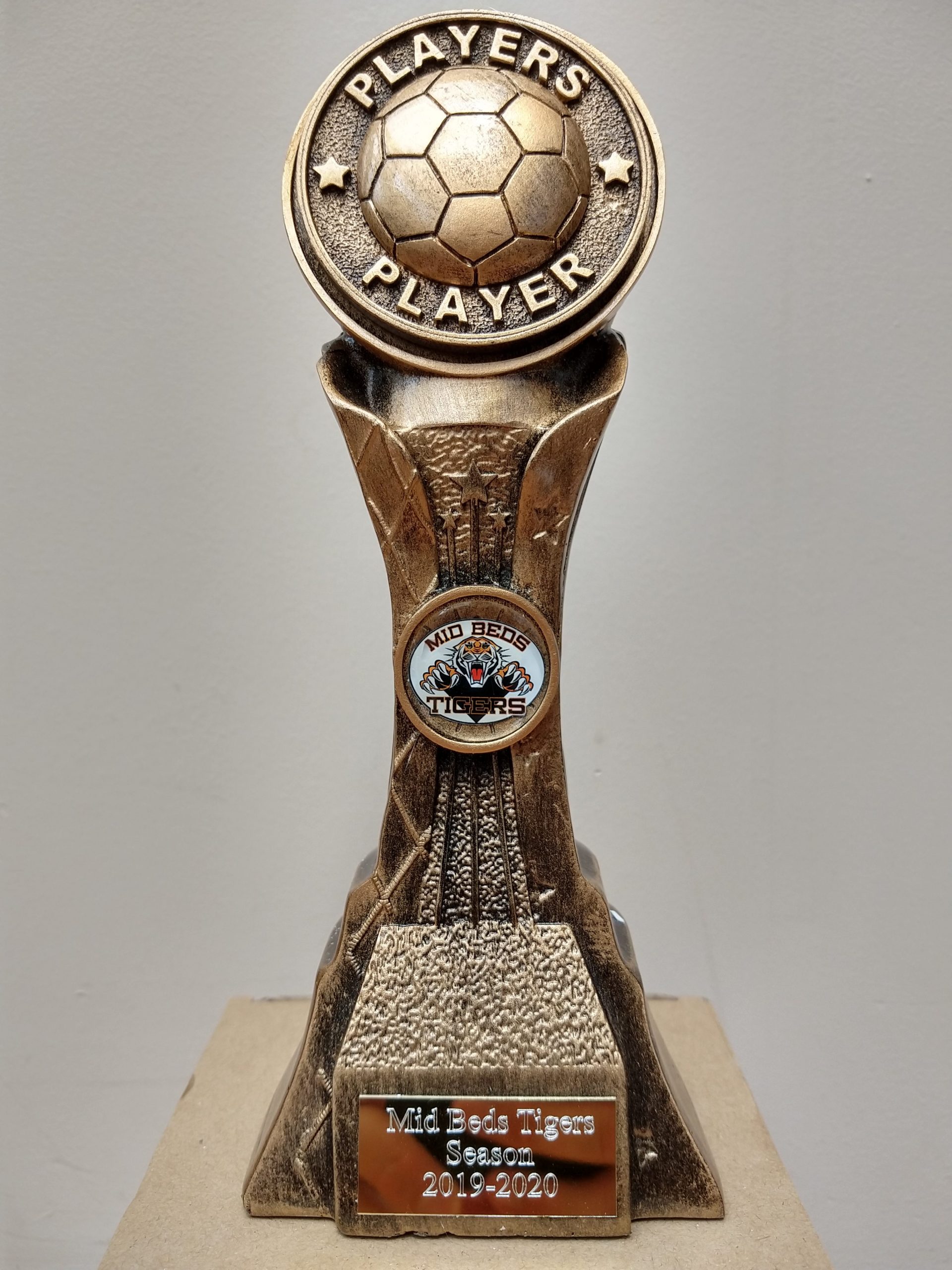 Season 2019-20 presentations - Sandy Tigers FC